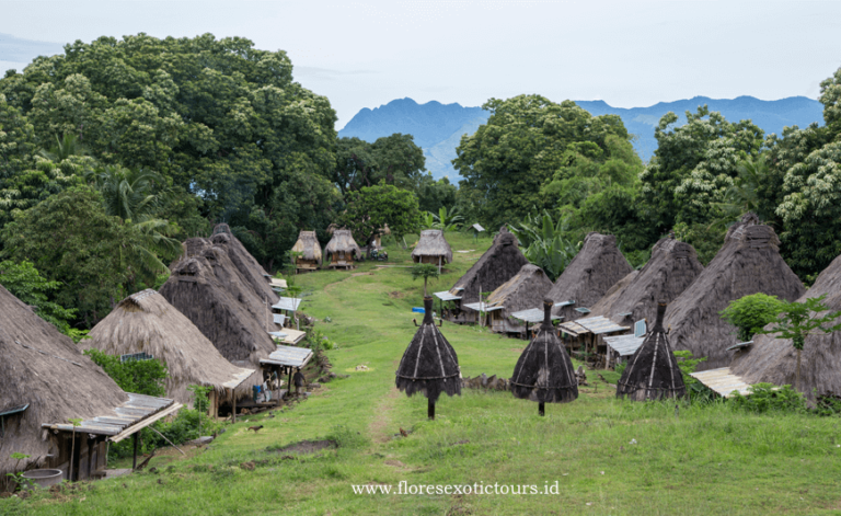Belaraghi Village, Ngada regency, Flores island, Indonesia
