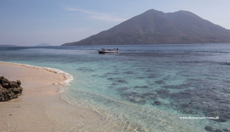 Alor Nature and Culture tours, Alor Regency, Indonesia